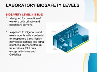 Biosafety-and-Biosecurity-in-Molbio.pptx