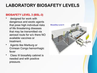 Biosafety-and-Biosecurity-in-Molbio.pptx