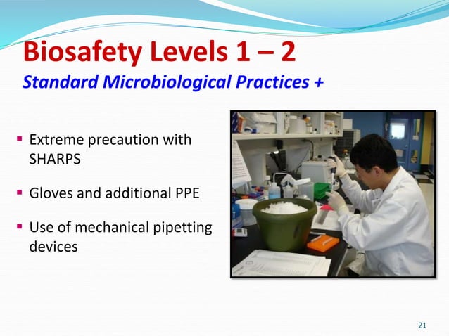 Biosafety/Bloodborne Pathogens Training for Laboratory Workers | PPT