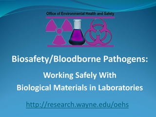 Bloodborne Pathogens Training Materials