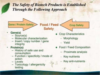 Biosafety Aspect of Biotechnology Product | PDF
