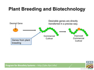 Biosafety Aspect of Biotechnology Product | PDF
