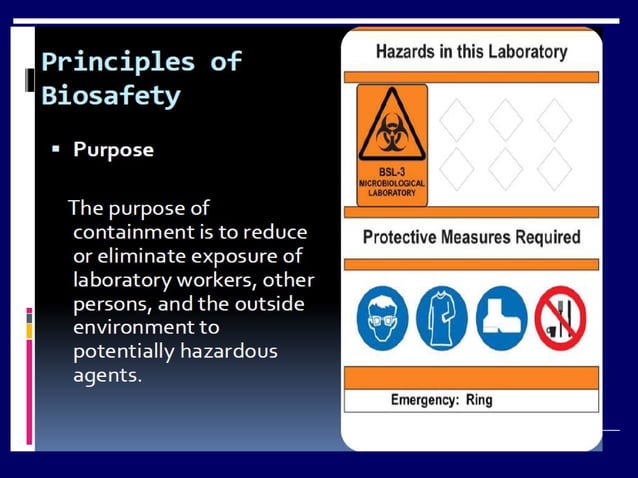Biosafety and bioethics | PDF | Infectious Diseases | Diseases and ...