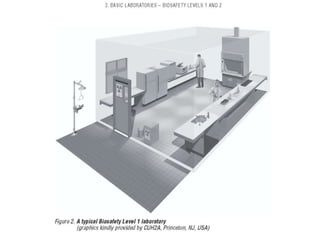 Biosafety and biosecurity biosafety levels | PPTX