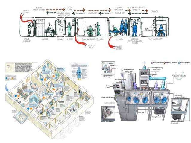 Biosafety and biosecurity biosafety levels | PPTX
