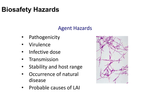 Biosafety and biosecurity biosafety levels | PPTX