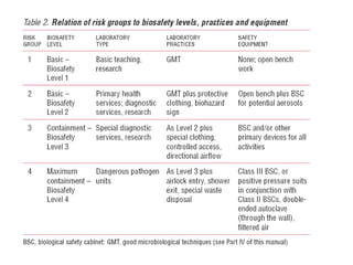 Biosafety and biosecurity biosafety levels | PPTX