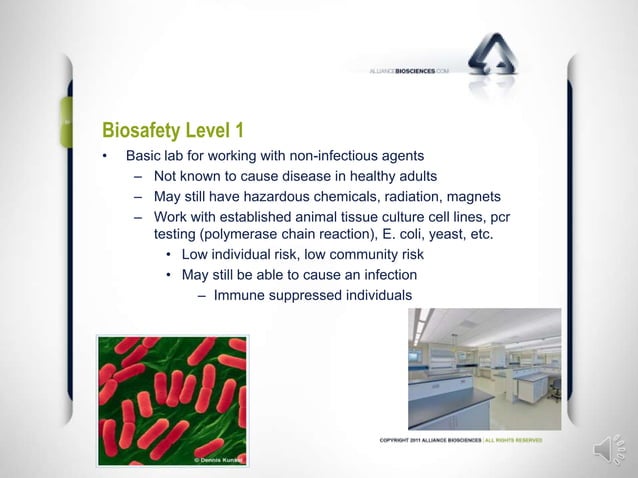 Biosafety Basics Training | PPTX