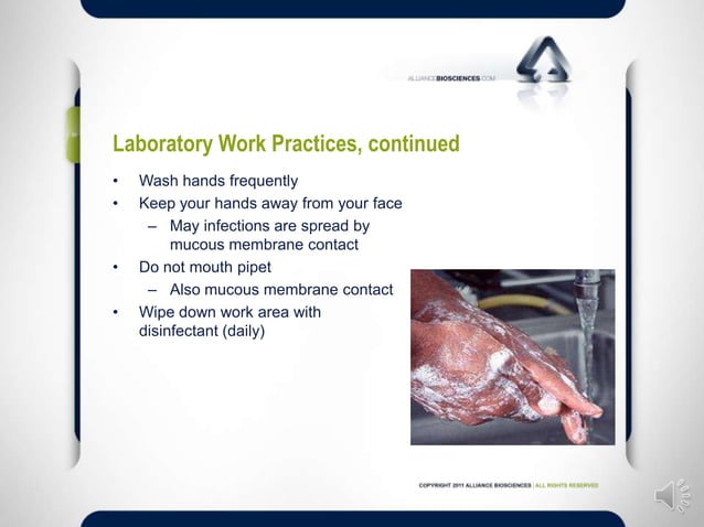 Biosafety Basics Training | PPTX