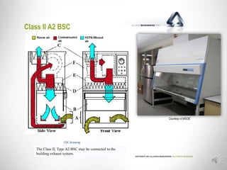 Biosafety Basics Training | PPTX