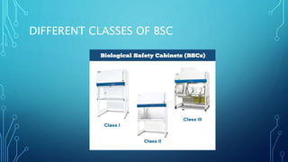 Biosafety Cabinet.pptx