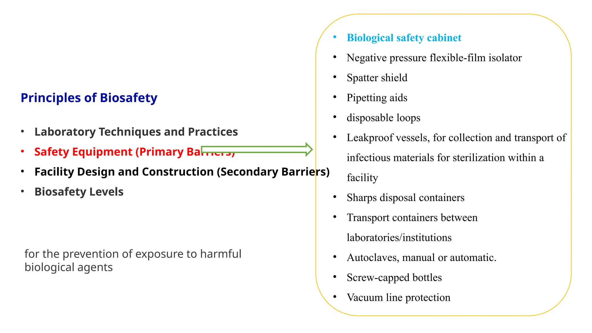 Biosafety Cabinets & Primary Containment Equipment: A Comprehensive ...