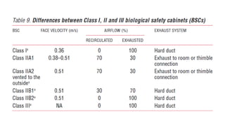 Biosafety Cabinets & Primary Containment Equipment: A Comprehensive ...
