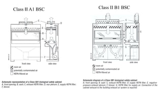 Biosafety Cabinets & Primary Containment Equipment: A Comprehensive ...