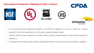Biosafety Cabinets & Primary Containment Equipment: A Comprehensive ...