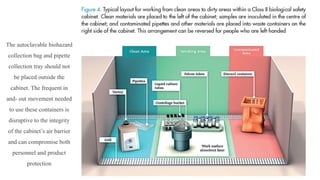 Biosafety Cabinets & Primary Containment Equipment: A Comprehensive ...