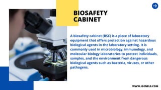Biosafety Cabinet - Igene Labserve | PDF