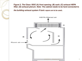 Biosafety cabinets /medical microbiology Biosafety | PPTX
