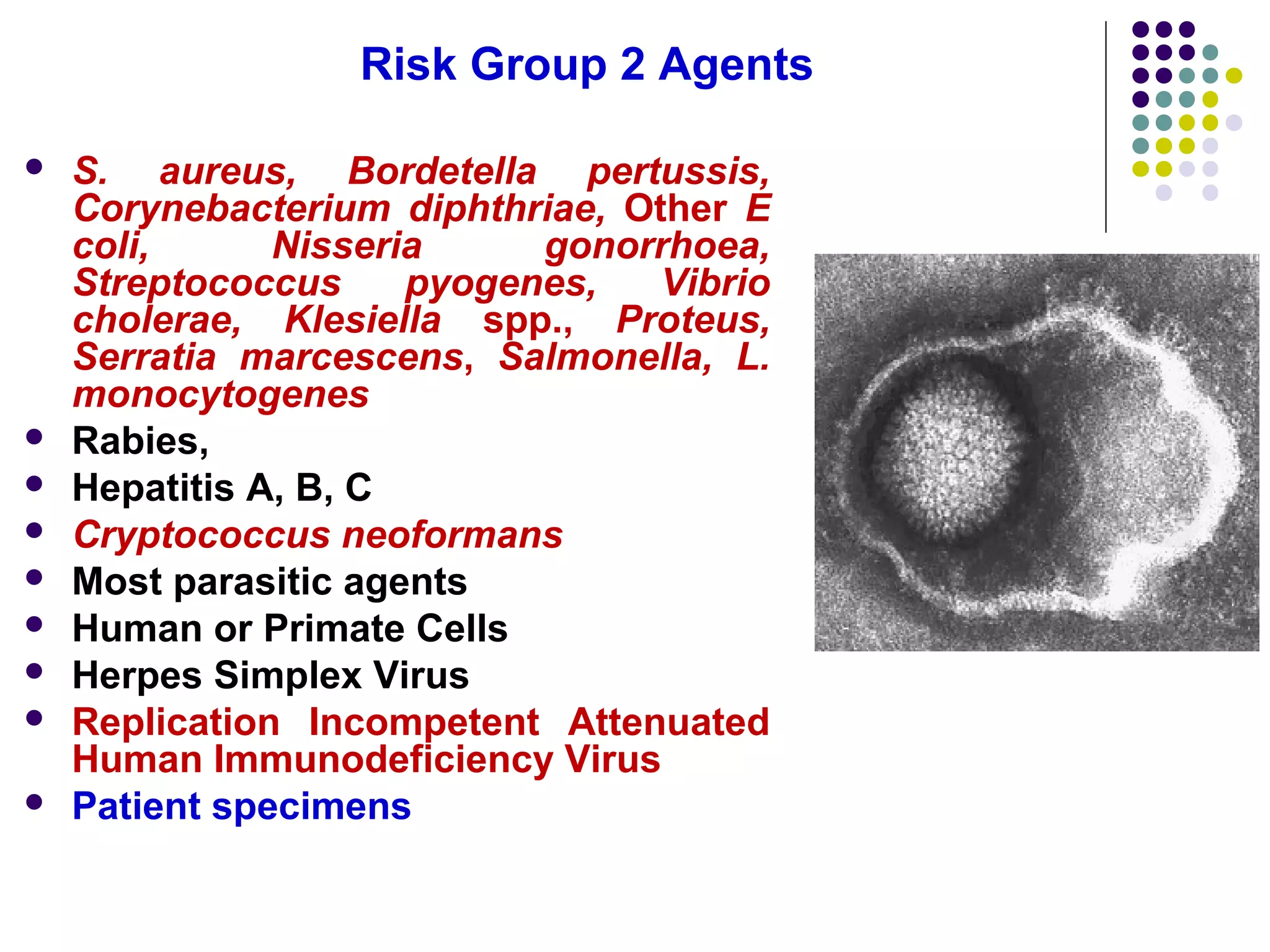 Biosafety Levels, Biological Safety Cabinets and Biosafety Laboratory ...