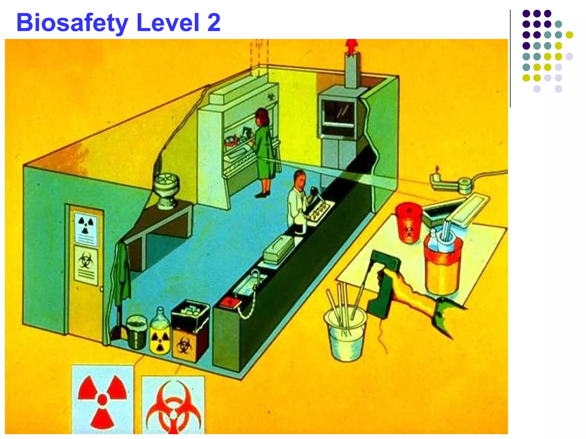 Biosafety Levels, Biological Safety Cabinets and Biosafety Laboratory ...