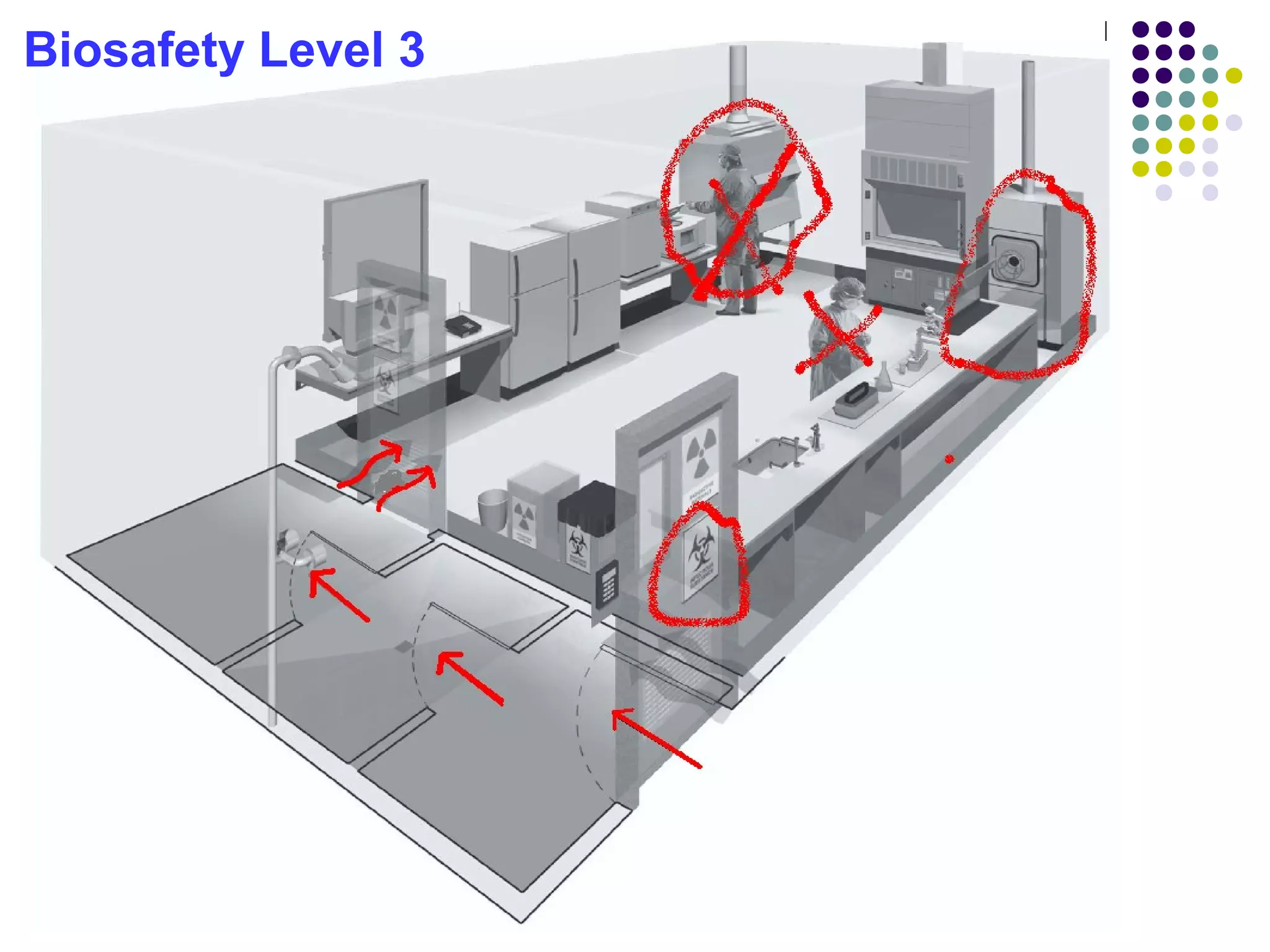 Biosafety Levels, Biological Safety Cabinets and Biosafety Laboratory ...