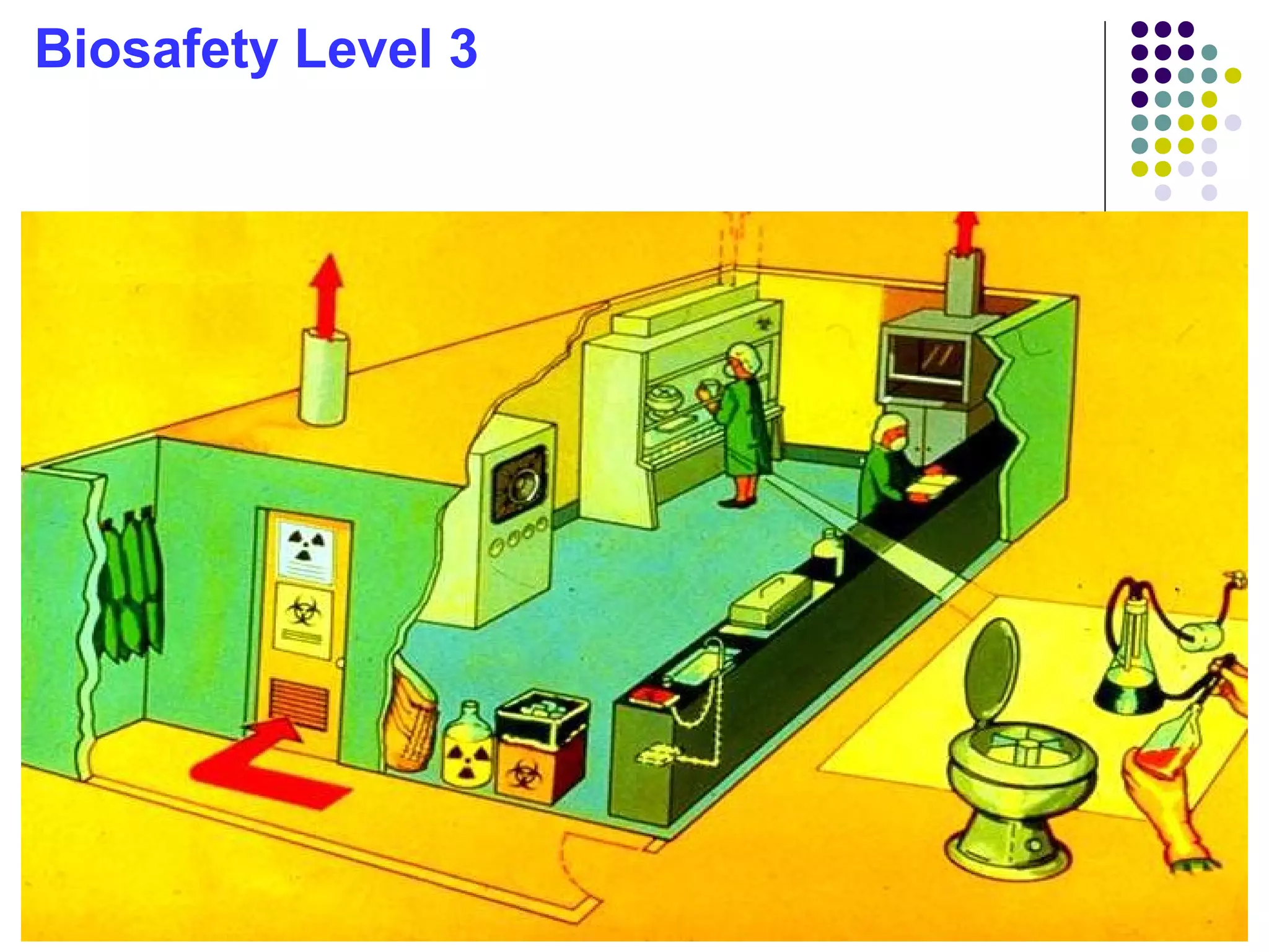 Biosafety Levels, Biological Safety Cabinets and Biosafety Laboratory ...