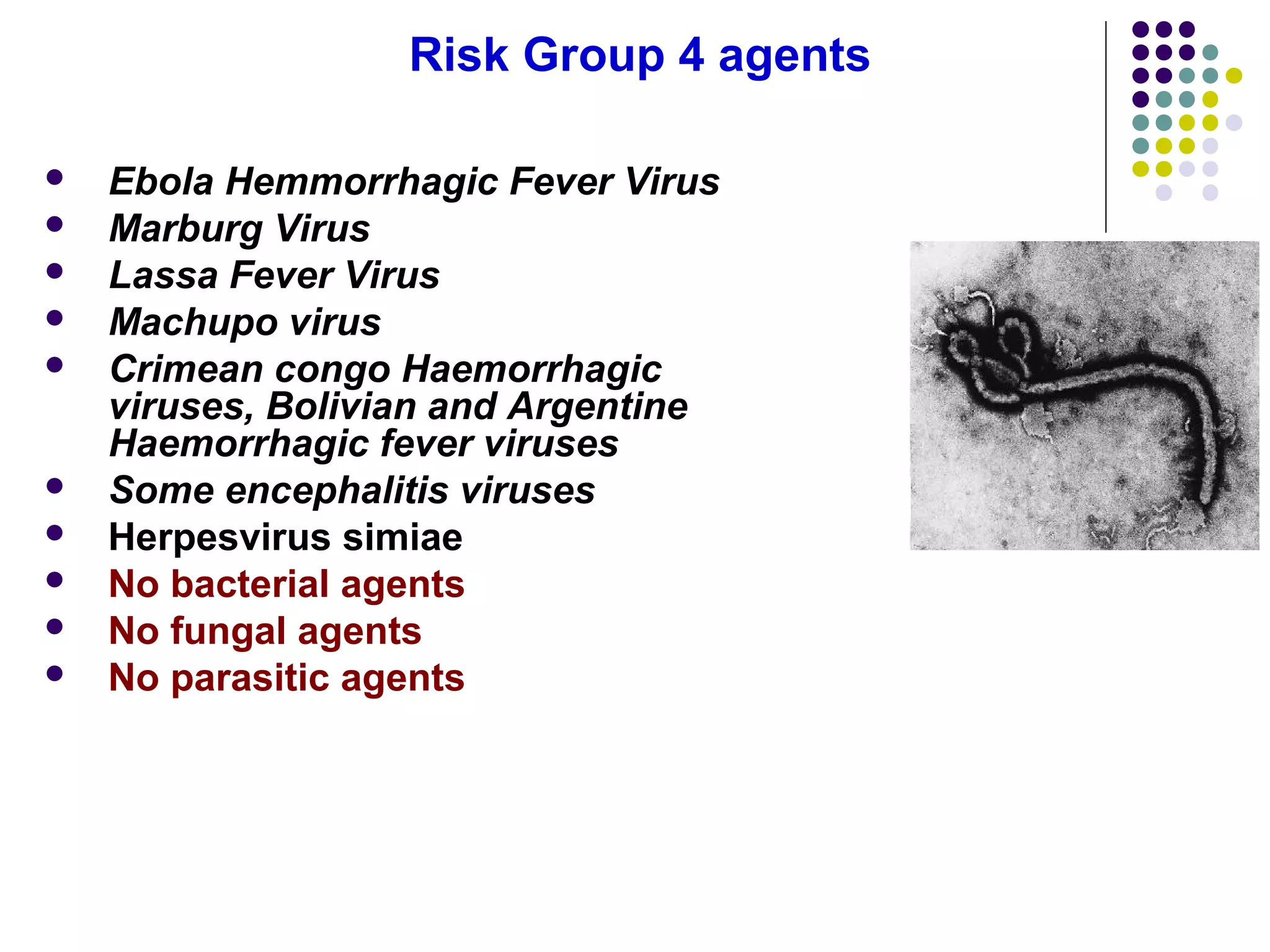 Biosafety Levels, Biological Safety Cabinets and Biosafety Laboratory ...