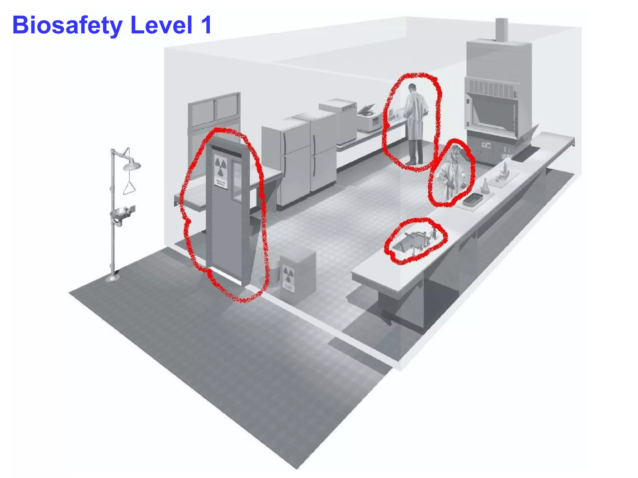 Biosafety Levels, Biological Safety Cabinets and Biosafety Laboratory ...