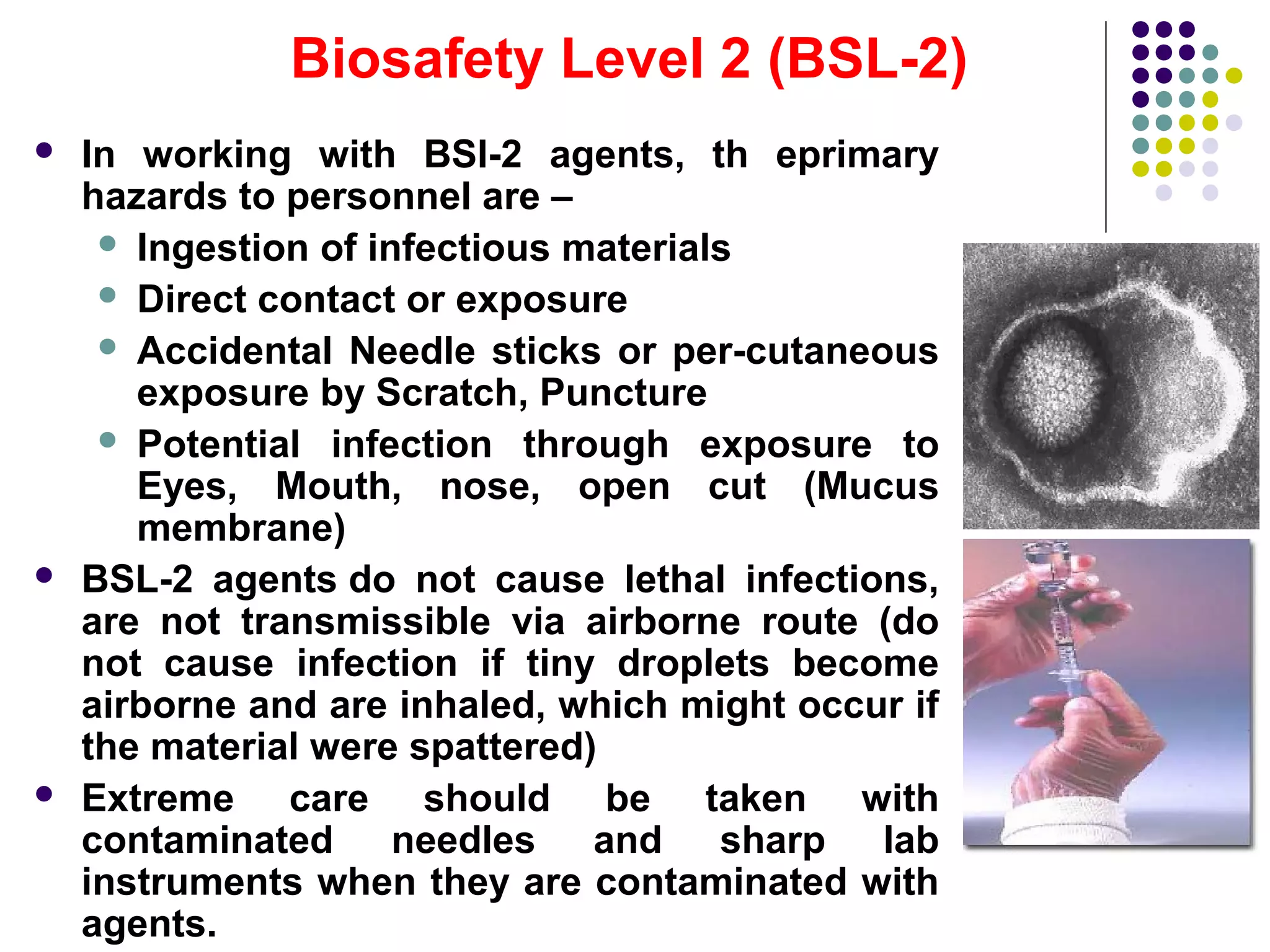 Biosafety Levels, Biological Safety Cabinets and Biosafety Laboratory ...