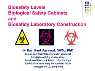 Biosafety Levels, Biological Safety Cabinets and Biosafety Laboratory ...