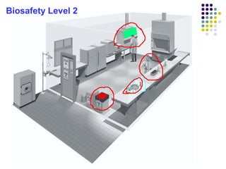 Biosafety Levels, Biological Safety Cabinets and Biosafety Laboratory ...