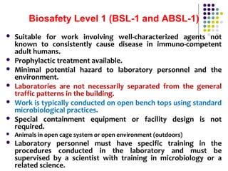 Biosafety Levels, Biological Safety Cabinets and Biosafety Laboratory ...