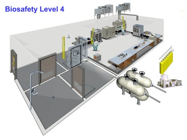 Biosafety Levels, Biological Safety Cabinets and Biosafety Laboratory ...