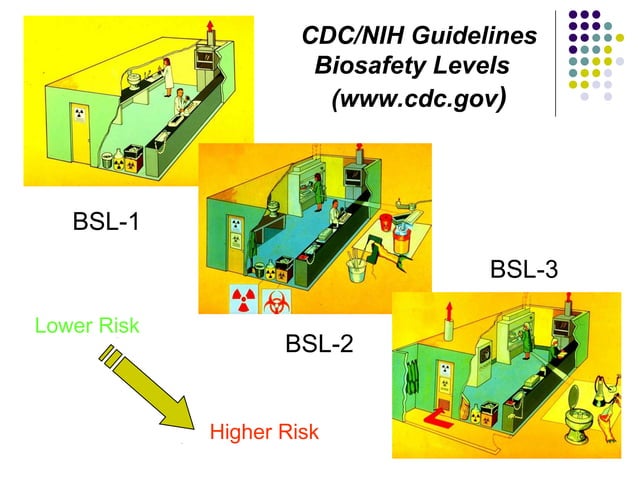 Biosafety Levels, Biological Safety Cabinets and Biosafety Laboratory ...