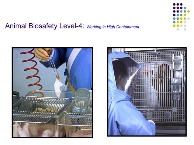 Biosafety Levels, Biological Safety Cabinets and Biosafety Laboratory ...