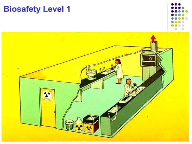 Biosafety Levels, Biological Safety Cabinets and Biosafety Laboratory ...