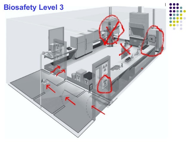 Biosafety Levels, Biological Safety Cabinets and Biosafety Laboratory…