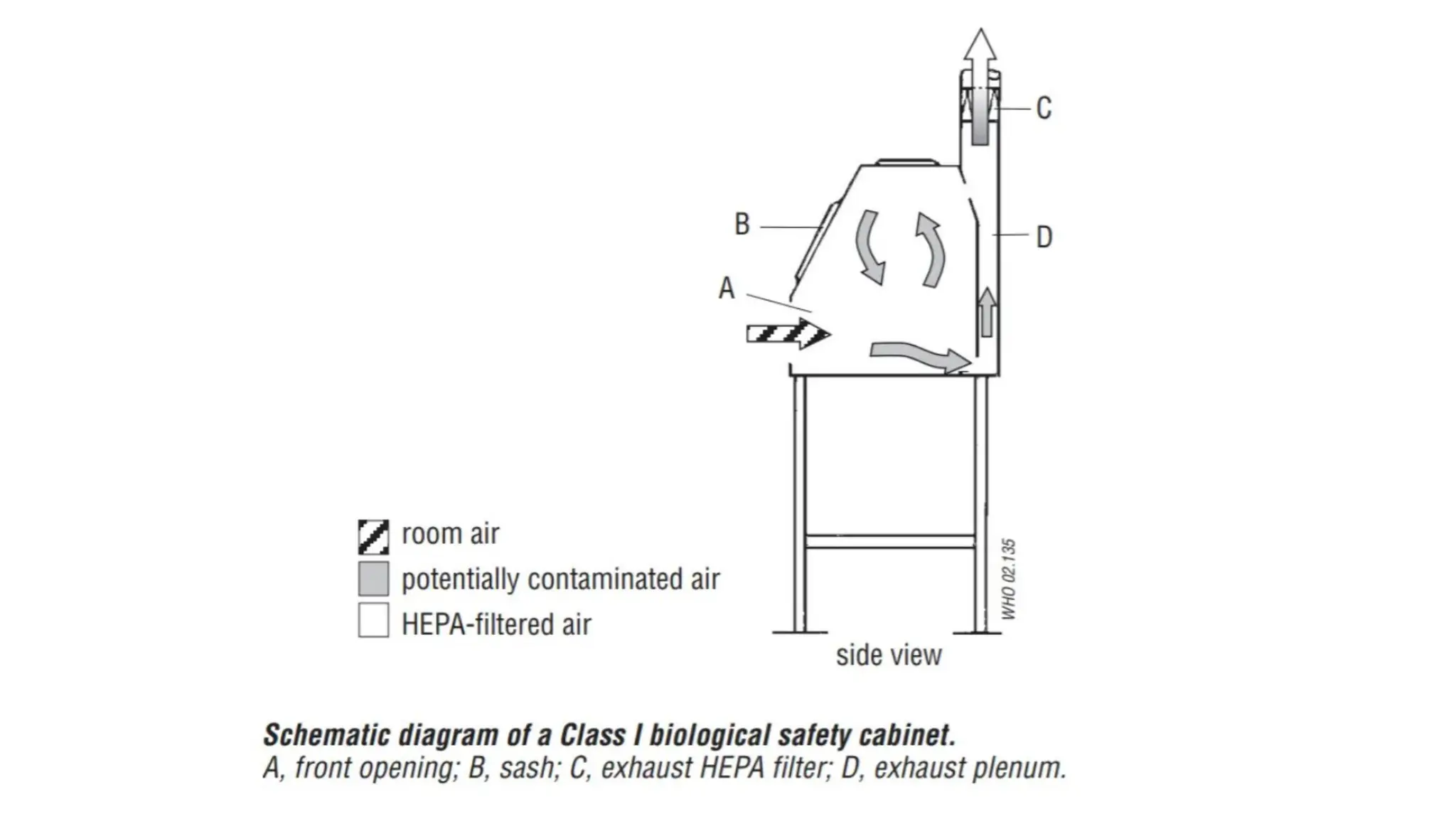 Various Classes of Biosafety Cabinets (BSC) | PPTX | Infectious ...