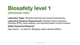 Biosafety Course (Bio hazards BSL measures) | PDF