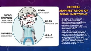 Human safety DEALING WITH NIPAH INFECTIONS | PPT