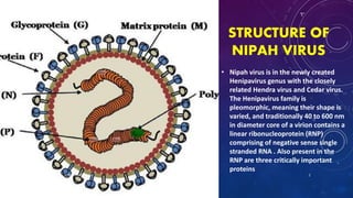 Human safety DEALING WITH NIPAH INFECTIONS | PDF