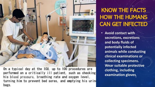 Human safety DEALING WITH NIPAH INFECTIONS | PPT