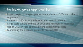 biosafetyguidelines-170212055800.pdf