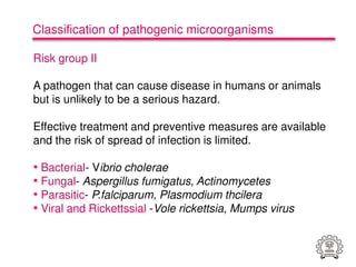 Bio safety iitb 1 | PDF