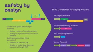 Biosafety in Gene Therapy: Applying the latest regulatory guidance for ...