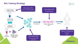 Biosafety in Gene Therapy: Applying the latest regulatory guidance for ...
