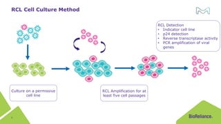 Biosafety in Gene Therapy: Applying the latest regulatory guidance for ...