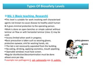 Biosafety Levels | PPTX