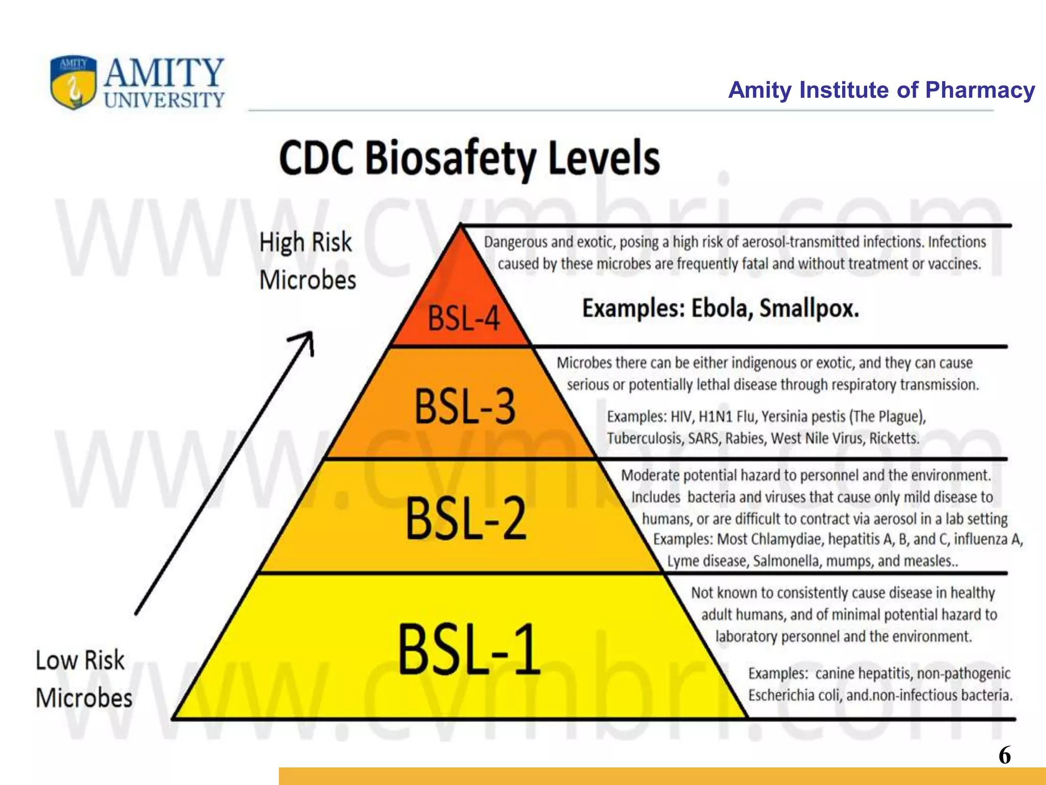 Biosafety level | PPT | Infectious Diseases | Diseases and Conditions
