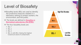 BIOSAFETY LEVEL.pptx | Infectious Diseases | Diseases and Conditions